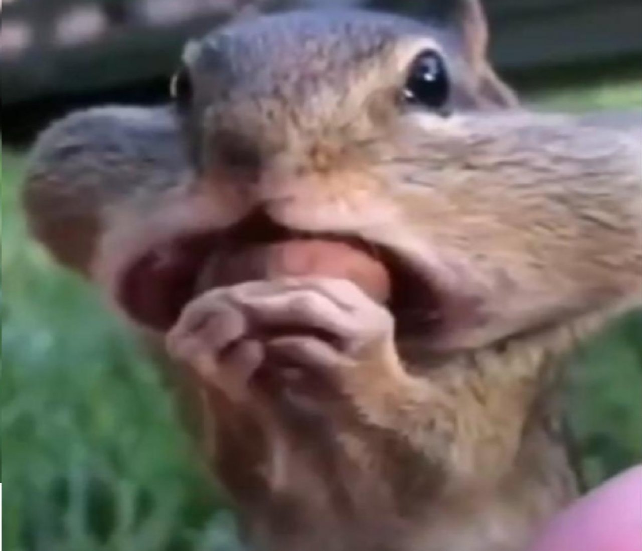 Миссия впихнуть не впихуемое выполнена.Подборка смешного видео Выпуск №1