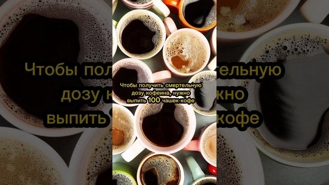 lv_0_20230817120142.mp4