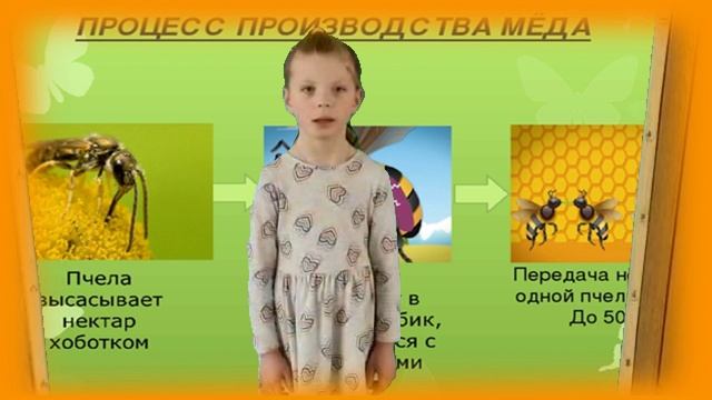 Осипова Даша-ГБОУ Школа Бибирево-Москва- А шмель тоже пчела.mp4