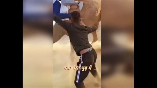 Перегруз. #юмор