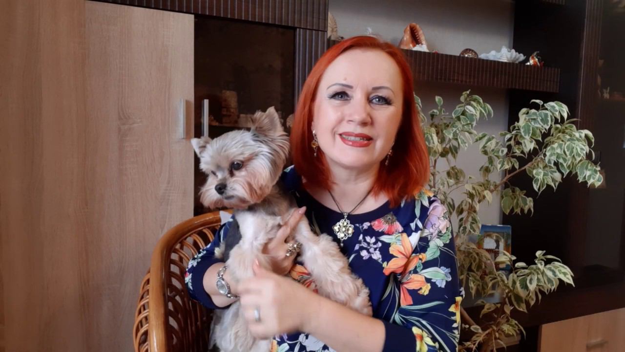 Эстафета  ." Три  вопроса Ютуберу" 07.04.2020