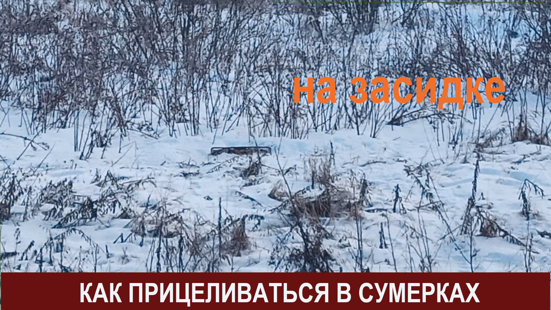 Как прицеливаться в сумерках