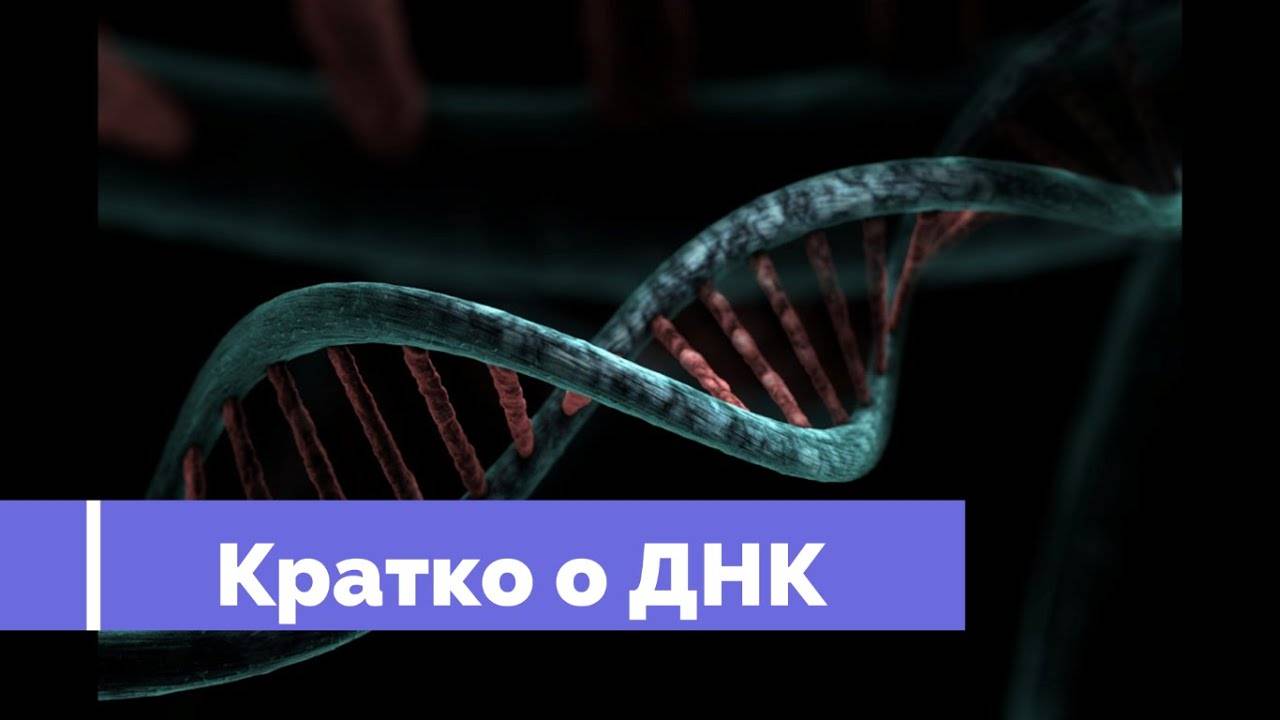 КРАТКО О ДНК