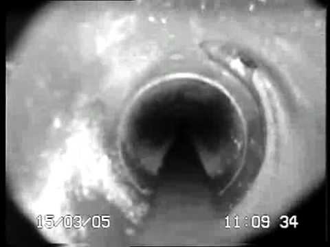 телеинспекция трубы диаметром 600 мм