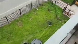 Крутые маневры в Ставрополе⁠!