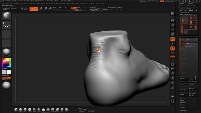 Anat-Vol 03-12  Final_Details
