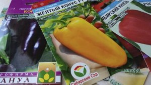 Перец сладкий сорт Желтый конус