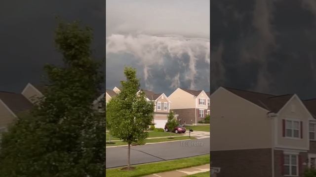 VID_20221228_145956_093.mp4