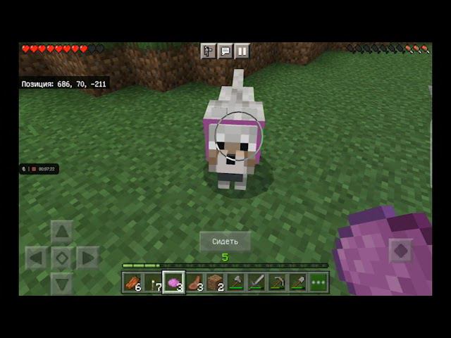 Прохожу МАЙНКРАФТ 5! Собачка и чуть не потерял дом! MINECRAFT