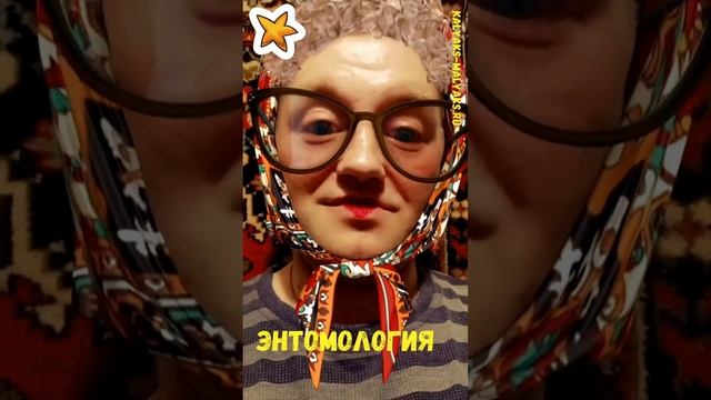 Энтомотология