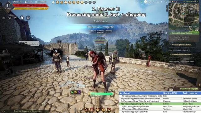 Обработка BDO для начинающих и опытных - описание и устранение проблем