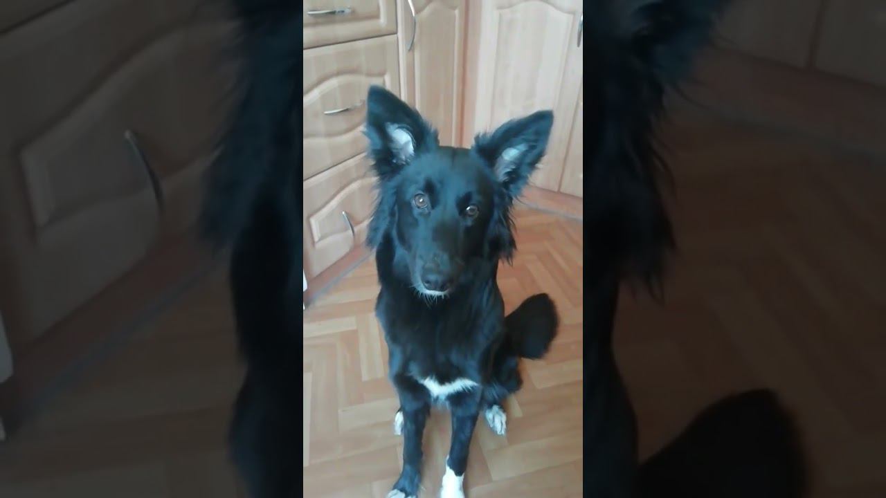 Айка😘