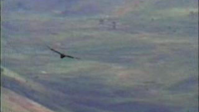 Speed to Fly