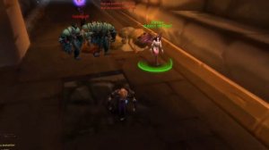 Destruction Warlock PvP 3.3.5 💪