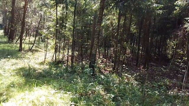 НОЧНОЙ ДОЗОР....КТО ОНИ . ИНГА ХОСРОЕВА . ВЕДЬМИНА ИЗБА.