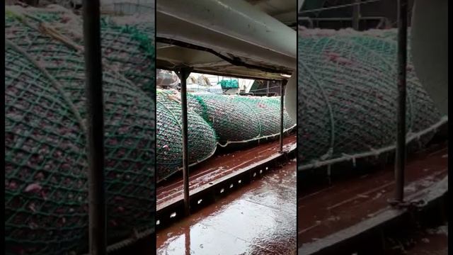 Приятных выходных.mp4