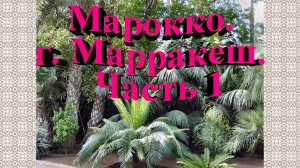 Марокко. г. Марракеш. Часть 1.