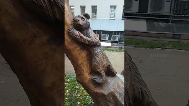 просто медвежата. уютный уголок. новосибирск