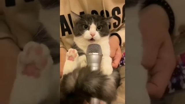 Фаны MARVEL лайк!