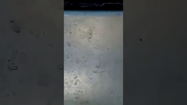 Оснащение автомобиля всем необходимым в поездке