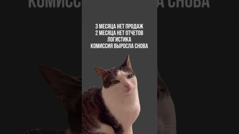 Бесплатно протестируй креативы в SplitTest, используя код YTEST #вайлдберриз #маркетплейс