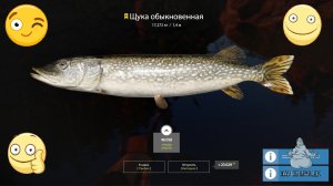 Русская рыбалка 4,Ладожское оз,Щука троф!!!.mp4