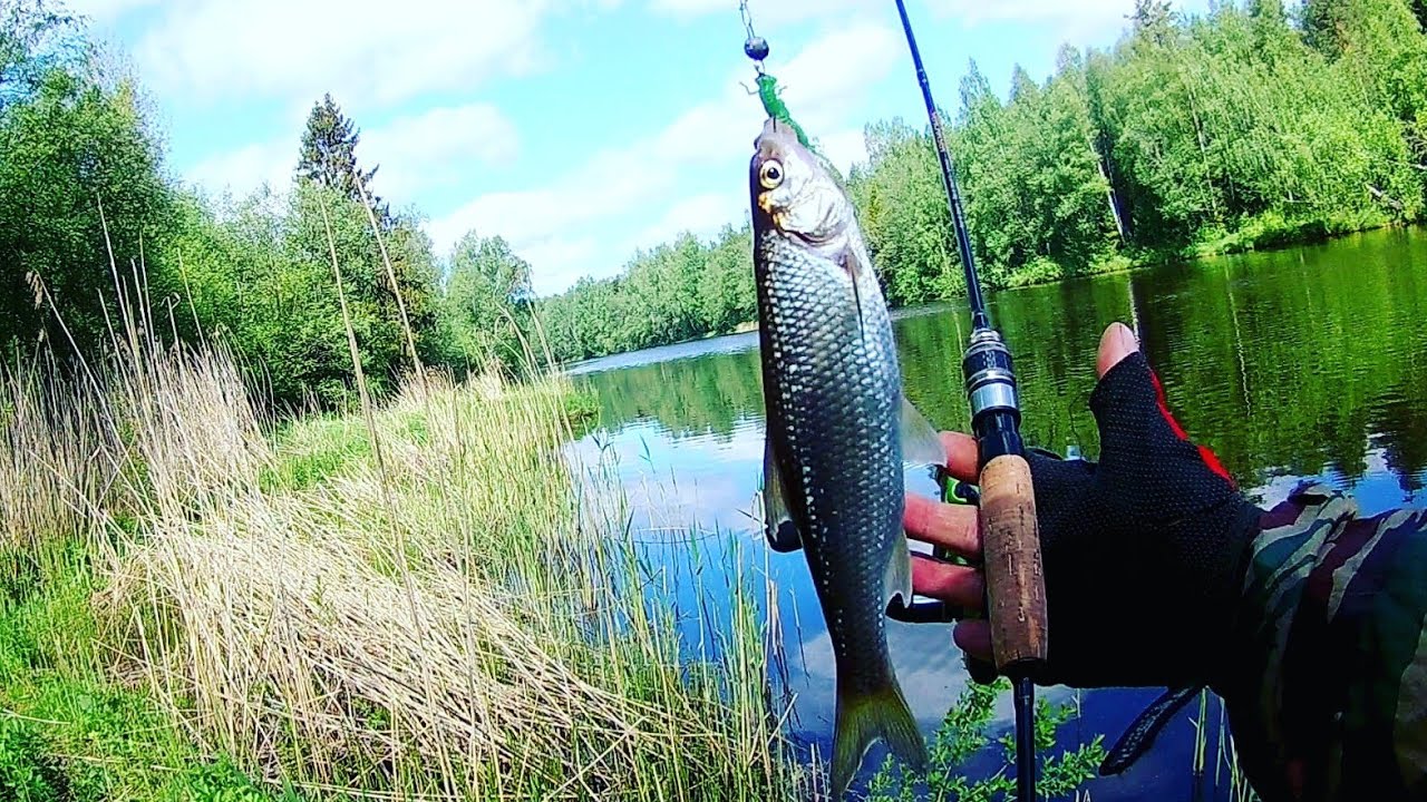 Ловля на спиннинг в мае. Лайт и ультралайт. Микроджиг.