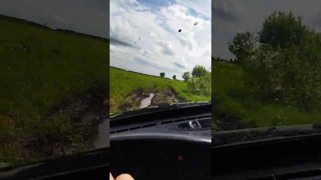 Шевроле-Нива, бездорожье. Тульская область