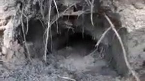 МАТЬ САМВЕЛА ПРИСВОИЛА ЧУЖУЮ ВЕЩЬ. ЭДИК СКОЛЬЗКИЙ ТИП