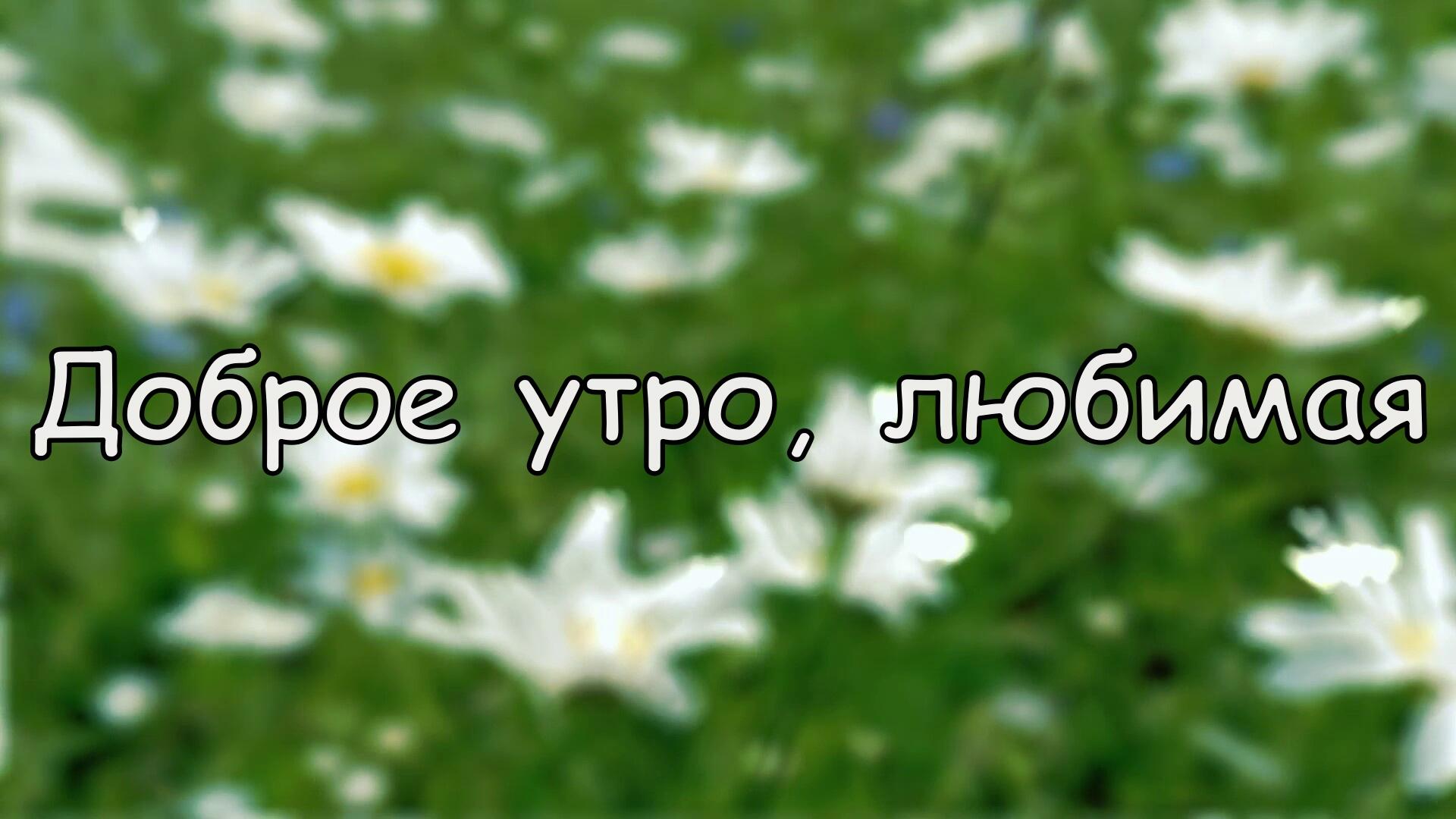 Доброе утро, любимая #стихи