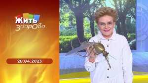 Жить здорово! Выпуск от 28.04.2023
