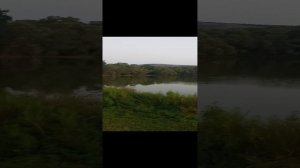 Ответ к предыдущему видео У птички свидание