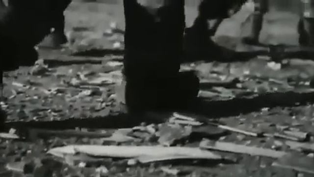 Русские вперед.