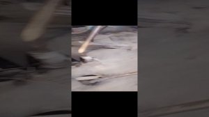 1000007215.mp4
