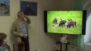 06 04 2023 Казань Союз Фотографов Республики Татарстан Фотоотчет Путешествие Животные