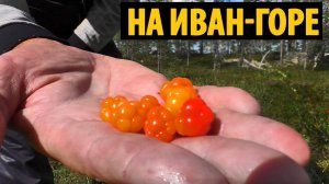 #15 Путешествие по Иван-горе | Тайная дача на озере | Канда - Кукса 2020