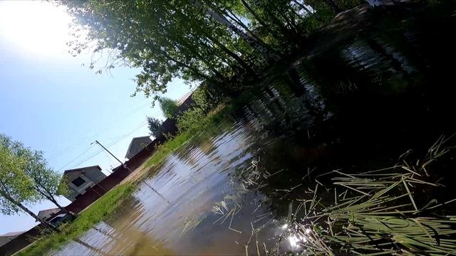 Жара.. купаю Бэна