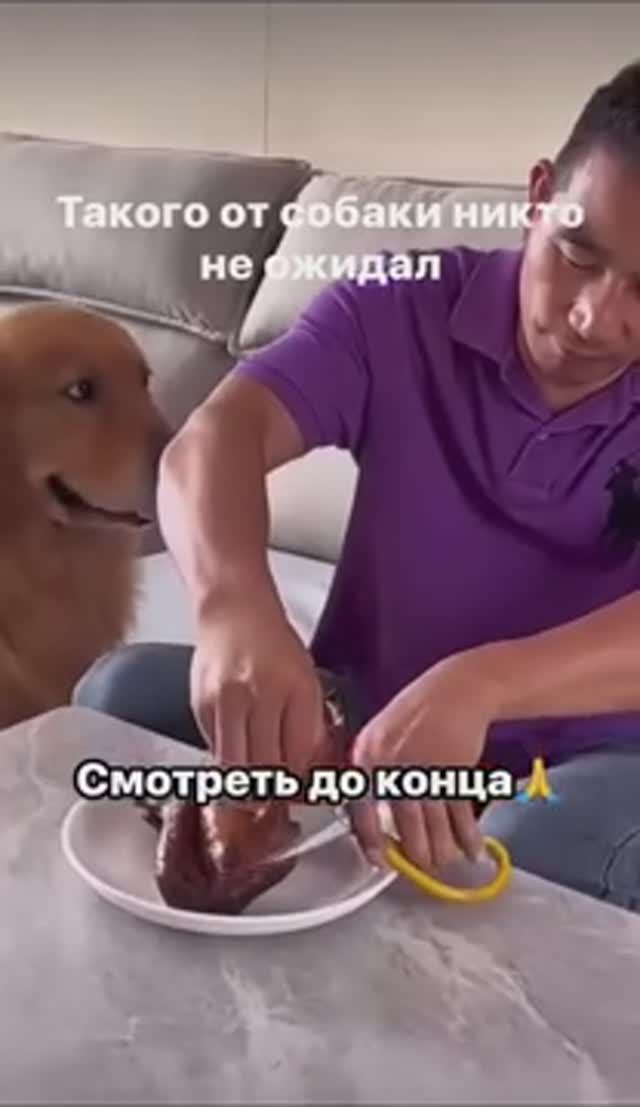 Вечная любовь