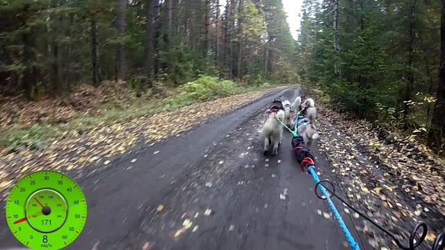 тренировка 27.09.2022.mp4