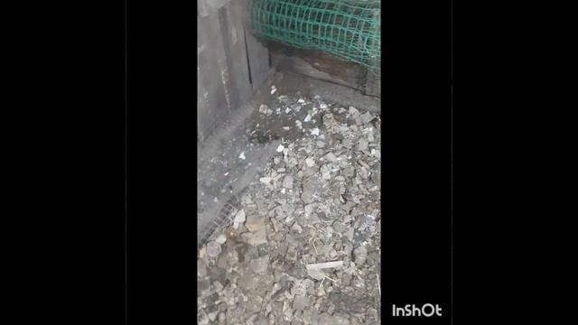 ПроРемонт.Реконструкция сарая для птицы.Фильм4 .mp4