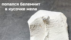 Находка-белемнит. Привет из мелового периода | МелОК