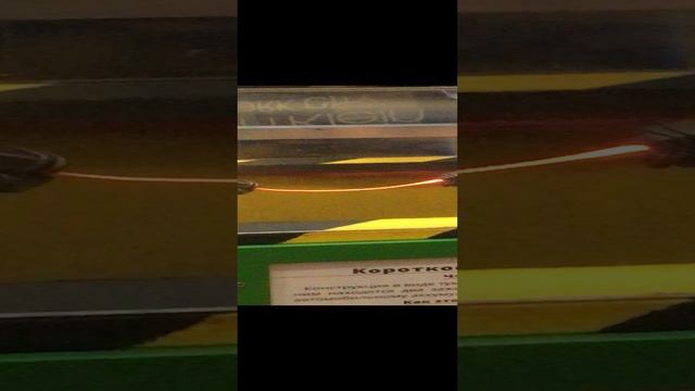 Я в музее