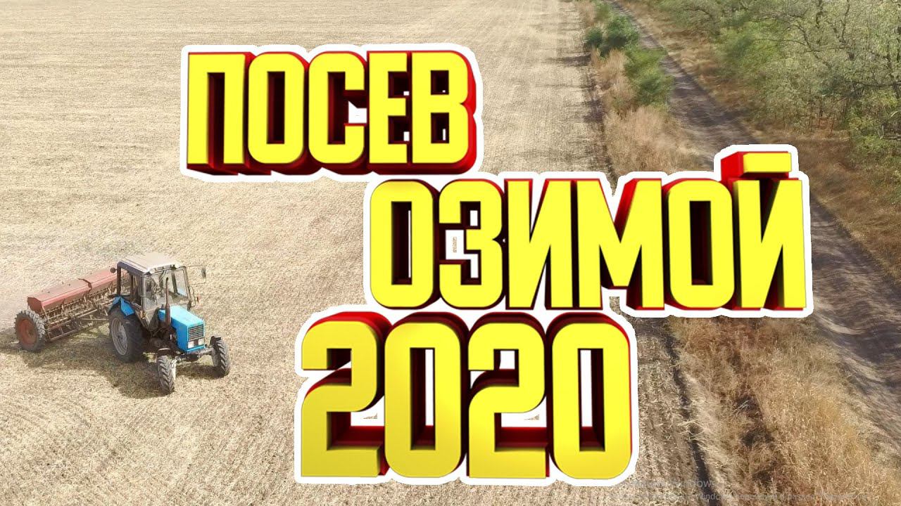 Посев озимой 2020 (безпарье 25 г.). Трактор МТЗ-82.1 с сеялкой СЗ-3.6. Выгрузили зерно в поле .