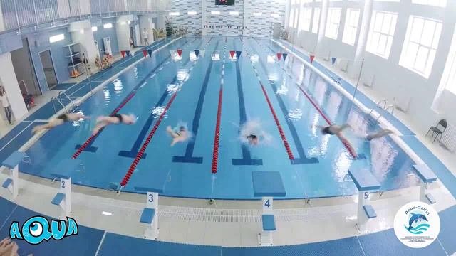 Секции школы плавания ДЕЛЬФИН