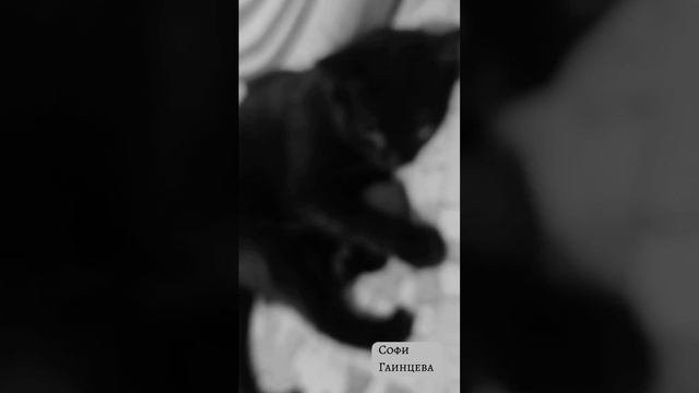 Сделала видео чёрно-белым. А мячик и венок оставила цветными. Ну как вышло)