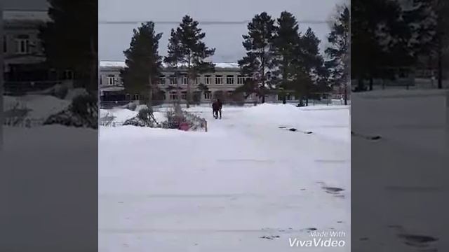 Лошадка в деревне уже экзотика.