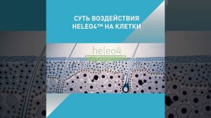 Heleo4_about_2