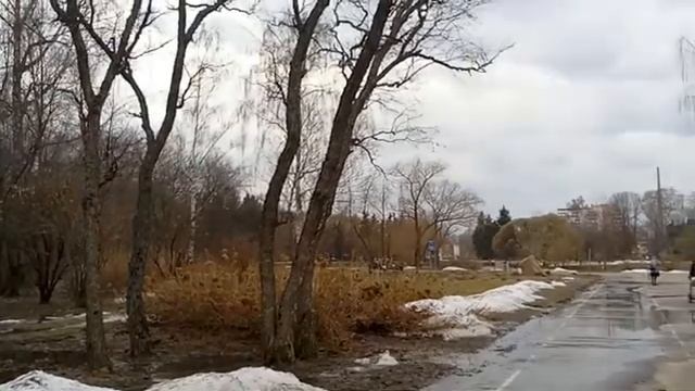 Весна в Ботаническом саду