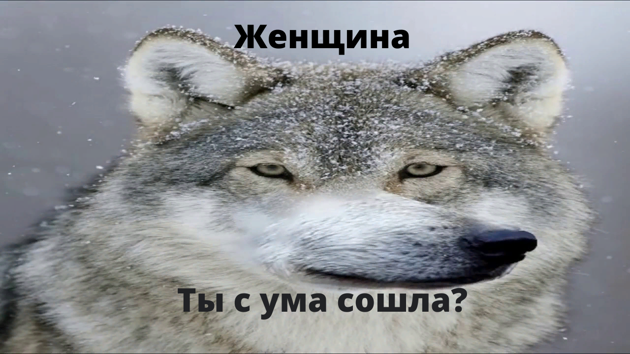 На случай важных переговоров #1.