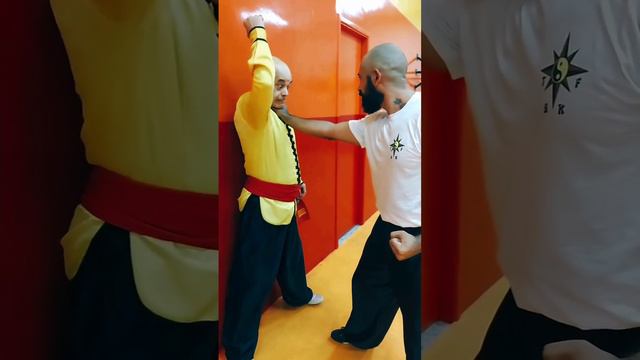 Самооборона №5